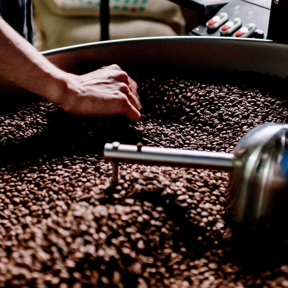 #FOX l Coffee-Shop Indépendant & Torréfacteur à Metz